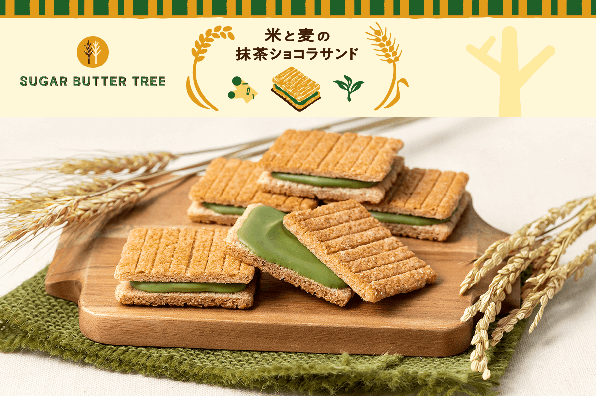 シュガーバターの木｜SUGAR BUTTER TREE